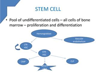 Stem cell enumeration | PPTX
