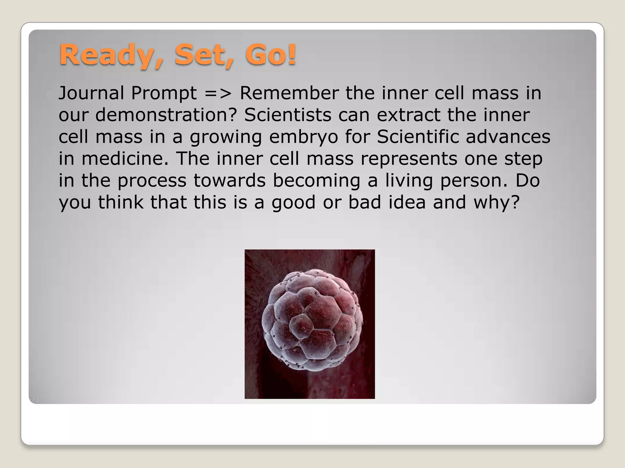 Stem Cell Ethics | PPTX