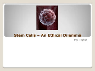 Stem Cell Ethics | PPTX