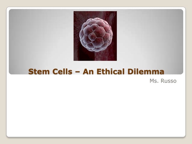 Stem Cell Ethics | PPTX | Biological Sciences | Science