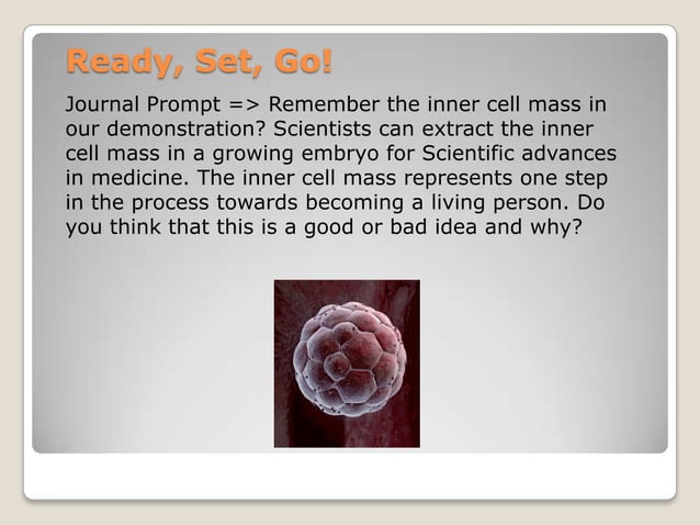 Stem Cell Ethics | PPTX | Biological Sciences | Science
