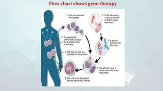 Stem cell therapy & gene therapy | PPTX