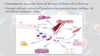 Stem cell therapy & gene therapy | PPTX