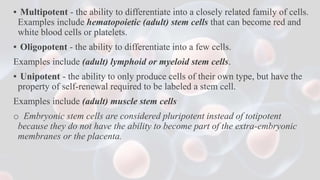 Stem cell therapy & gene therapy | PPTX