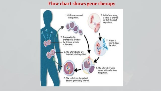 Gene Therapy Flowchart Flowchart In Word