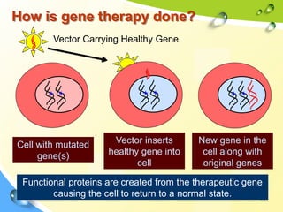 Comprehensive Overview of Stem Cell Therapy and Gene Therapy in ...
