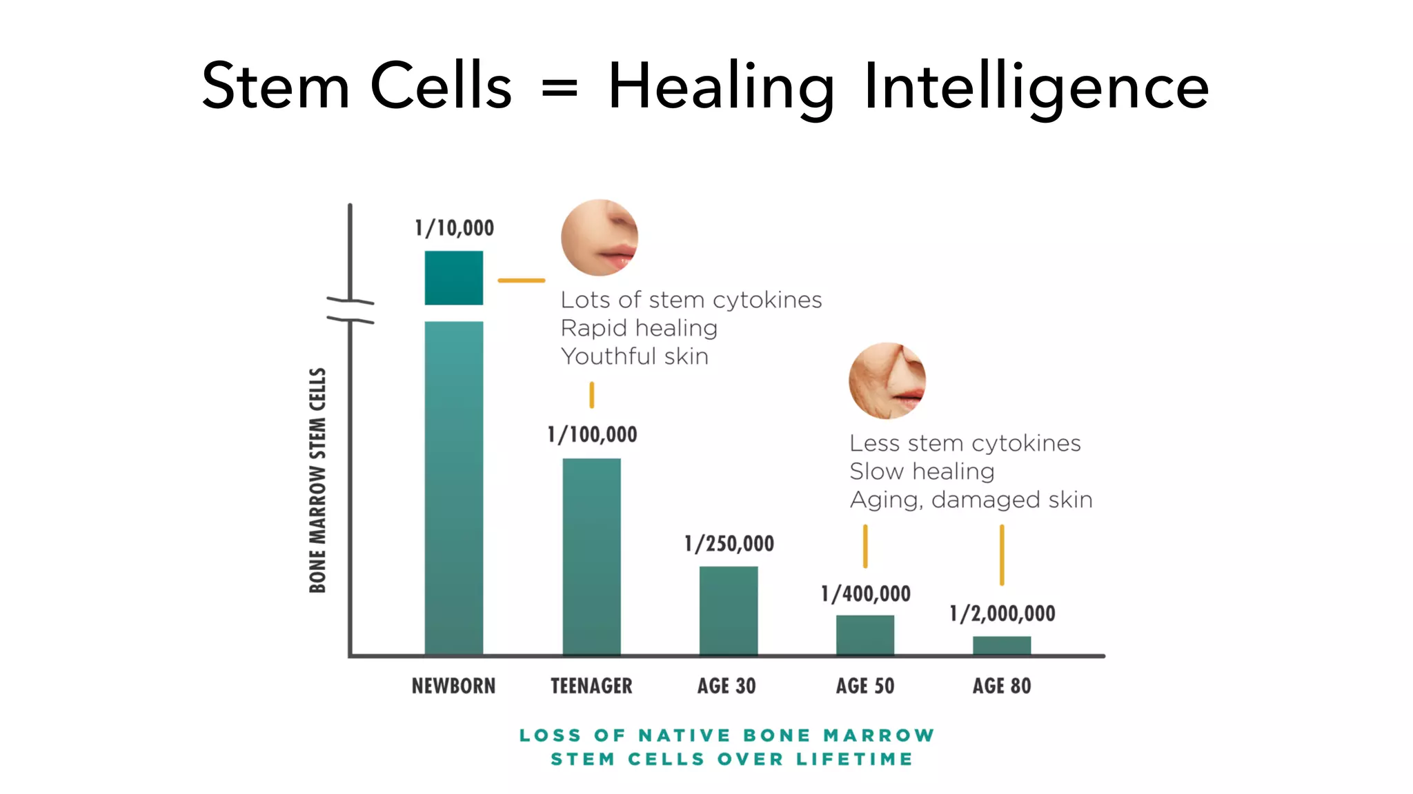 Stem Cell Growth Factor Exosomes for Hair Regrowth - DrAlanBauman_final | PDF