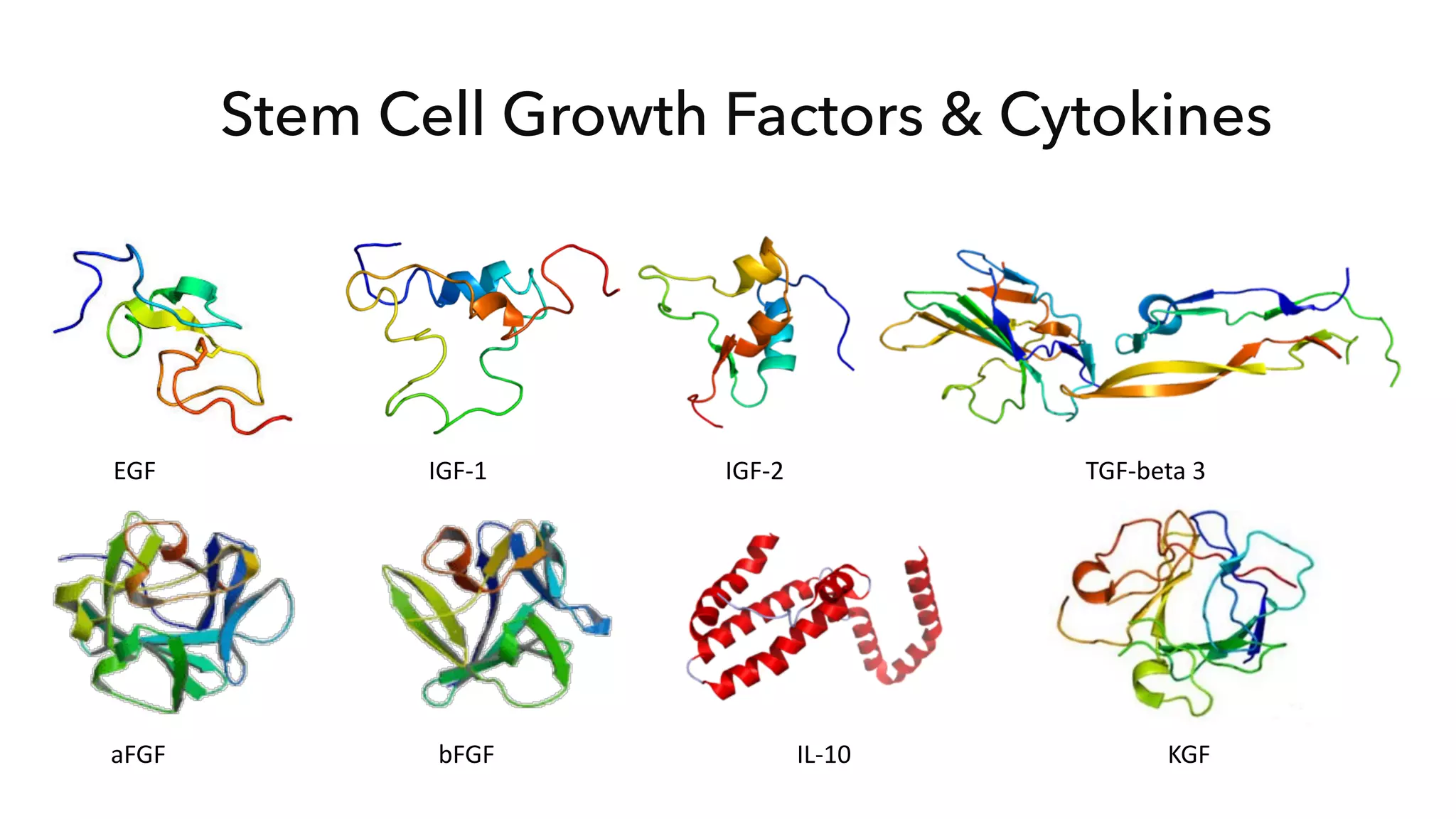 Stem Cell Growth Factor Exosomes for Hair Regrowth - DrAlanBauman_final ...
