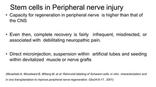 Stem cell in Neurosurgery | PPTX