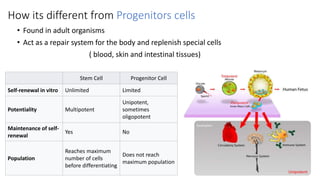 Stem cell in Neurosurgery | PPTX