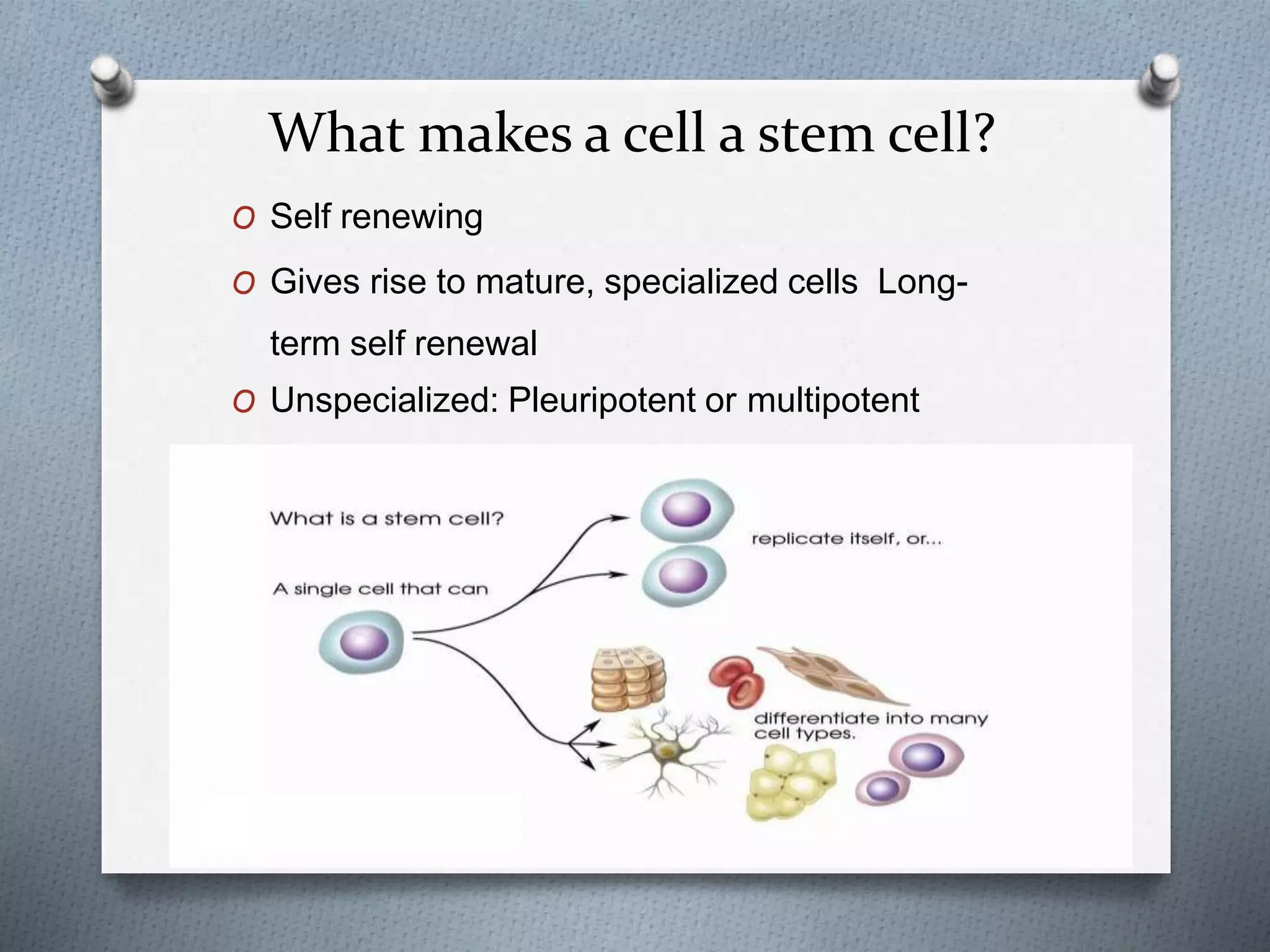 Stem cell & it's types | PPTX