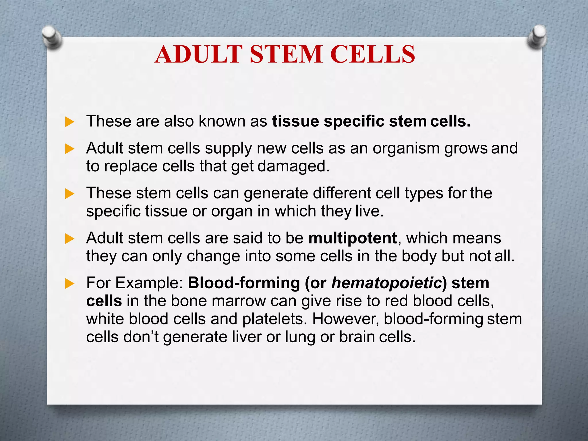 Stem cell & it's types | PPTX