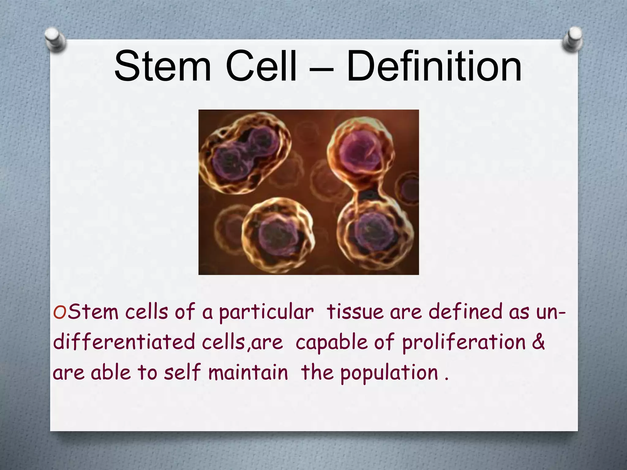 Stem cell & it's types | PPTX