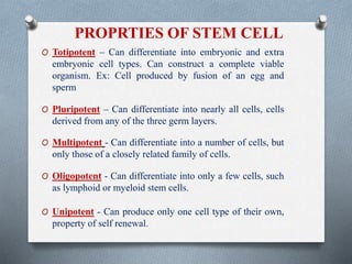 Stem cell & it's types | PPTX