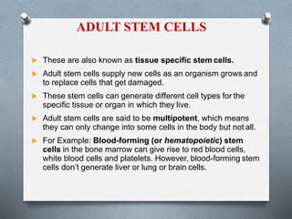 Stem cell & it's types | PPTX