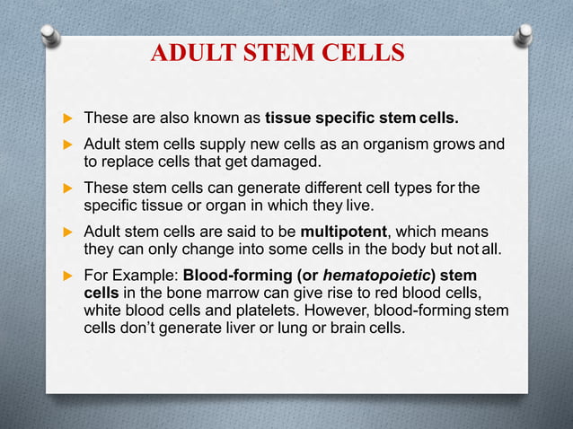 Stem cell & it's types | PPTX | Infertility | Reproductive Health