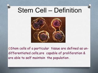 Stem cell & it's types | PPTX
