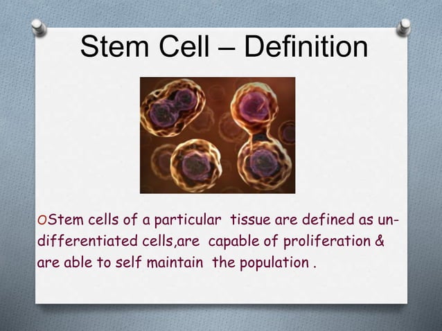Stem cell & it's types | PPTX | Infertility | Reproductive Health