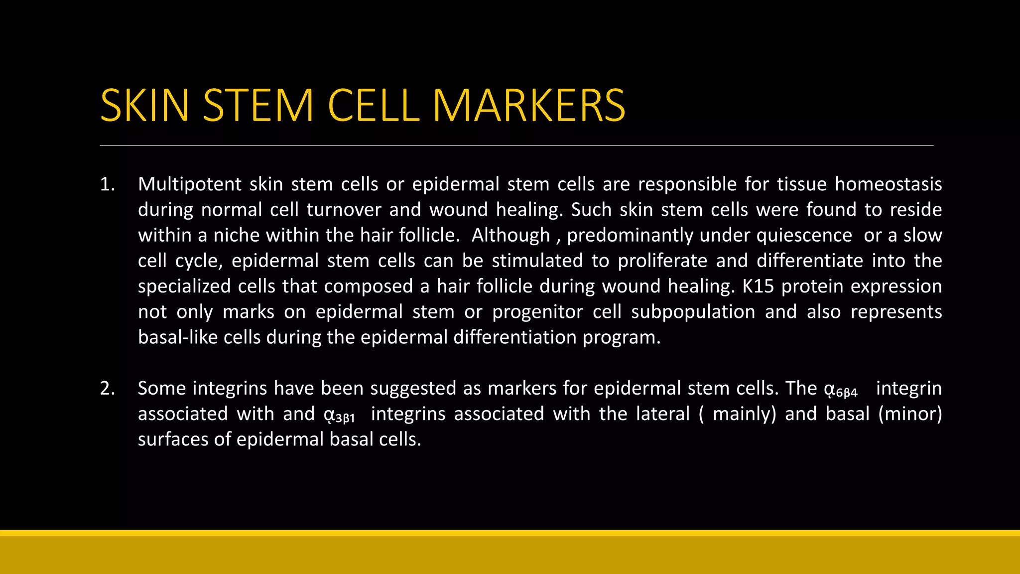Stem cell markers | PPTX
