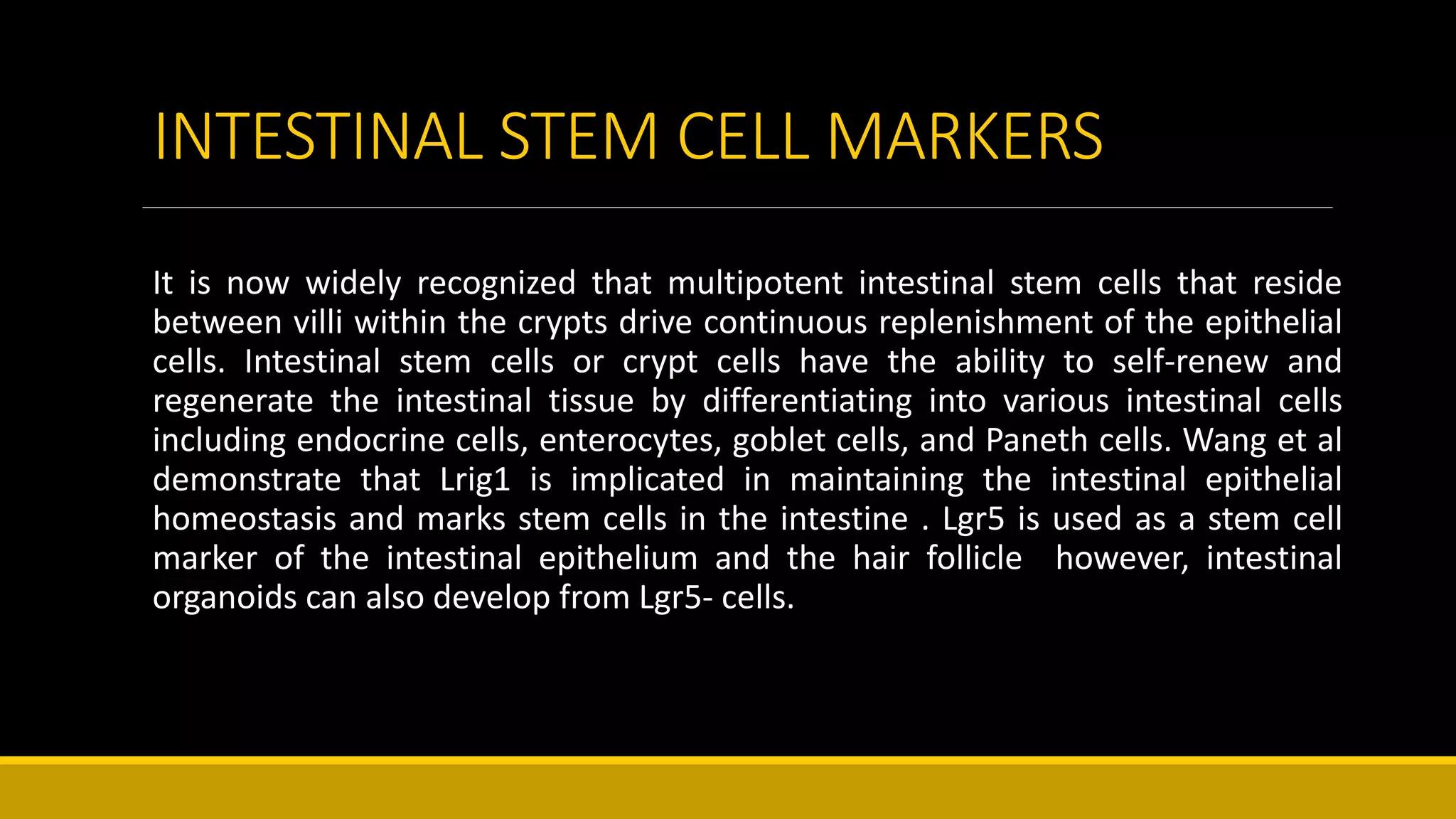 Stem cell markers | PPTX