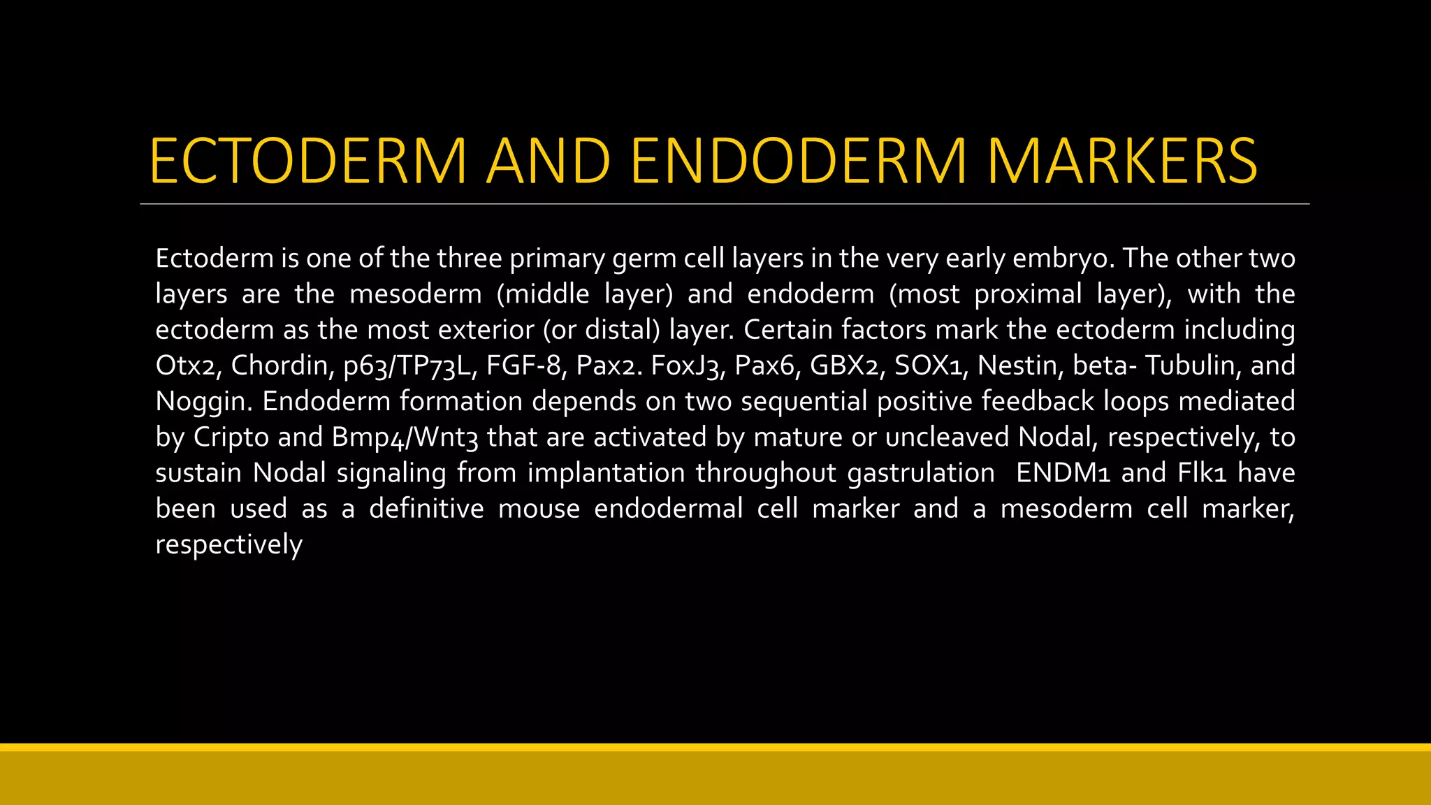 Stem cell markers | PPTX