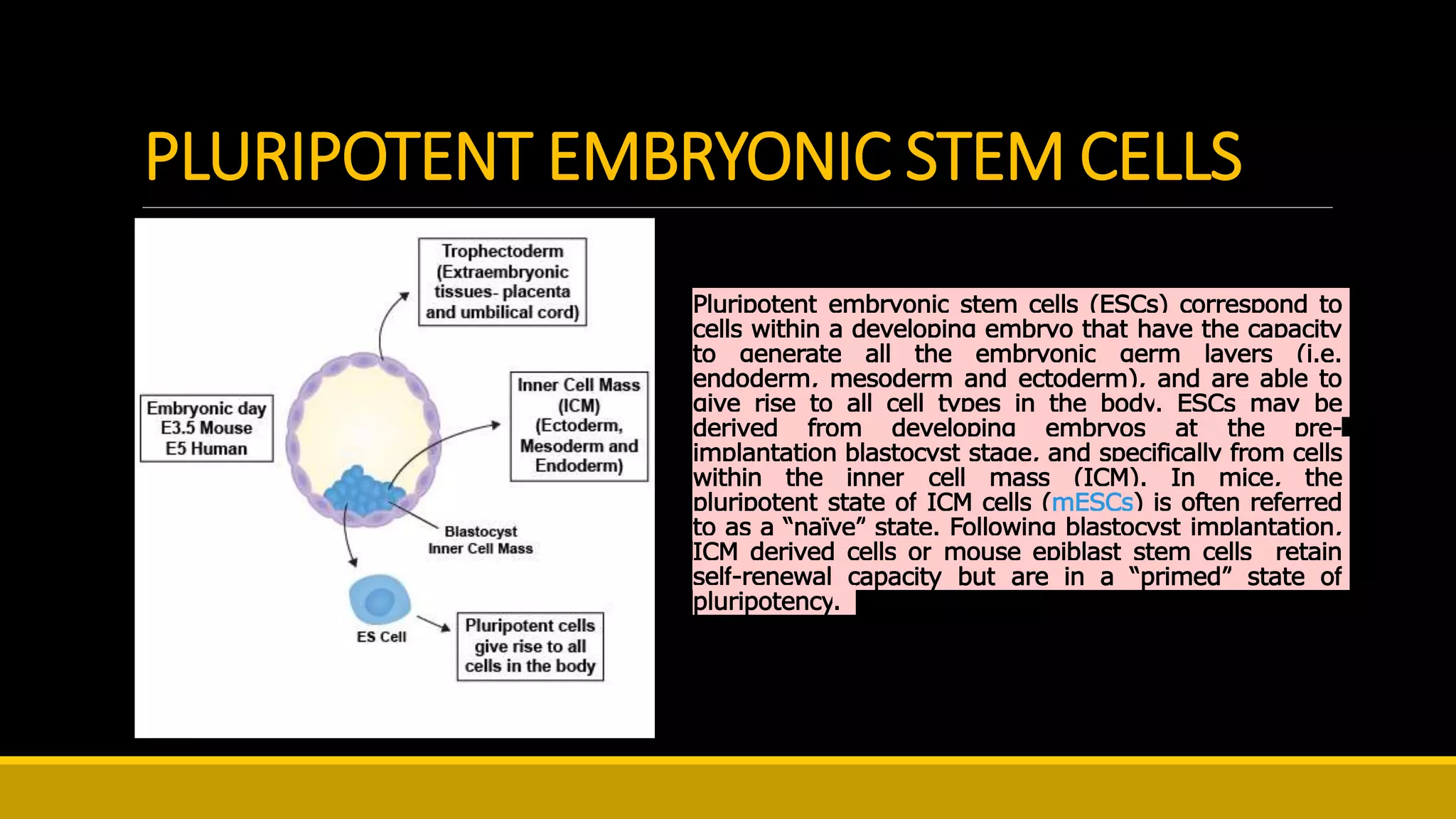 Stem cell markers | PPTX