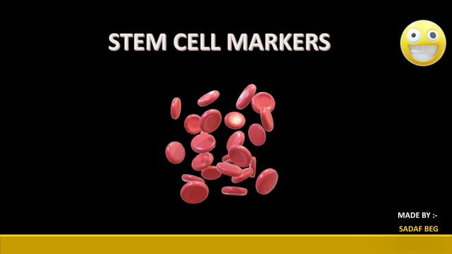 Stem cell markers | PPTX | Genetics | Science