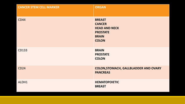 Stem cell markers | PPTX | Genetics | Science