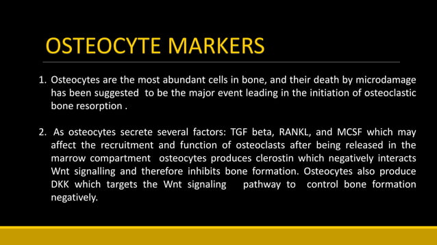 Stem cell markers | PPTX | Genetics | Science