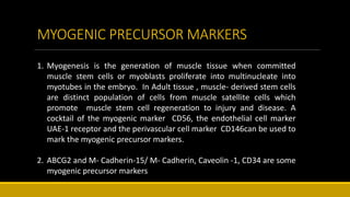 Stem cell markers | PPTX