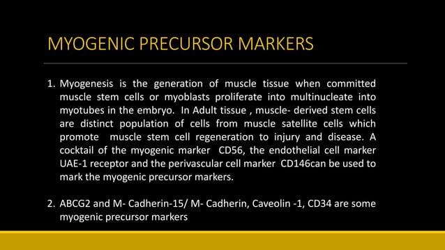 Stem cell markers | PPTX | Genetics | Science