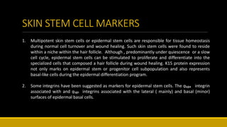 Stem cell markers | PPTX