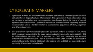 Stem cell markers | PPTX