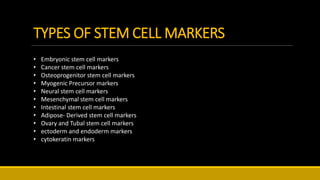 Stem cell markers | PPTX