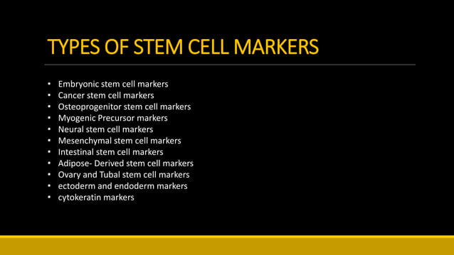 Stem cell markers | PPTX | Genetics | Science