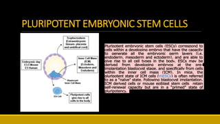 Stem cell markers | PPTX