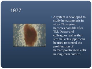 Stem cell on history pages | PPTX