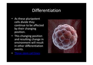 Stem Cell Powerpoint with teacher notes.pdf