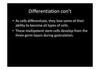Stem Cell Powerpoint with teacher notes.pdf