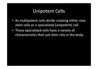 Stem Cell Powerpoint with teacher notes.pdf