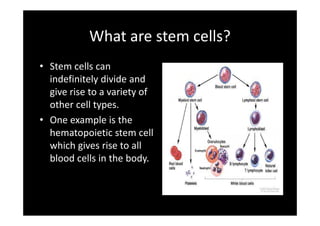 Stem Cell Powerpoint with teacher notes.pdf
