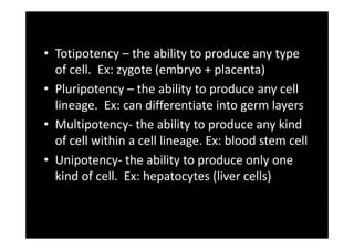 Stem Cell Powerpoint with teacher notes.pdf