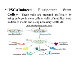 An overview:Stem cells | PPTX