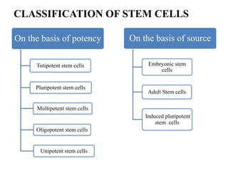 An overview:Stem cells | PPTX