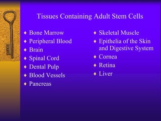Stem Cell Presentation | PPT