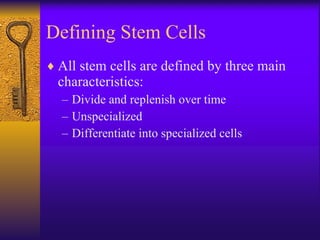 Stem Cell Presentation | PPT