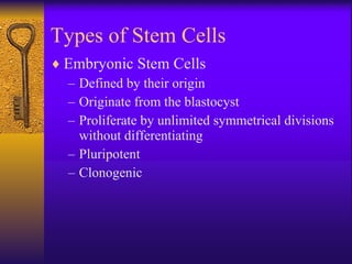 Stem Cell Presentation | PPT