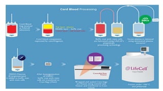 Stem cell preservation life cell | PPTX