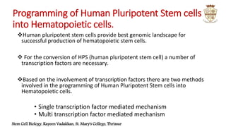 Stem cell programming | PPTX