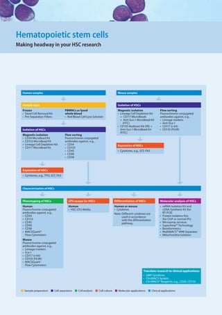 Stem Cell quick guide 2013 | PDF